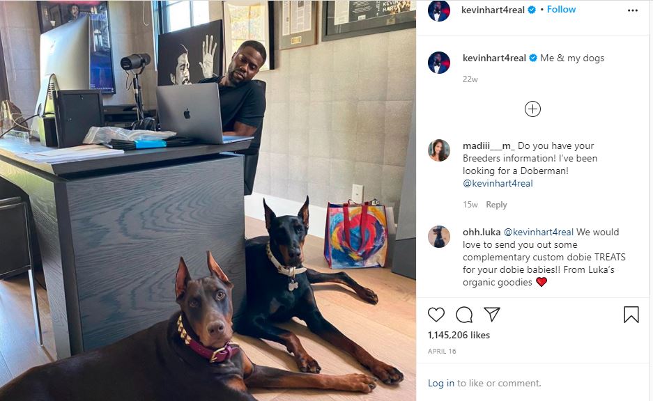 Famous Doberman Owners – DOBERMANS DEN