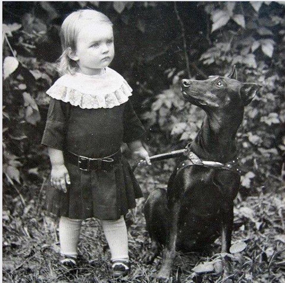 Vintage Doberman Photos – DOBERMANS DEN