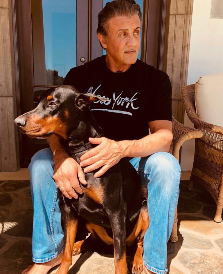 Famous Doberman Owners – DOBERMANS DEN